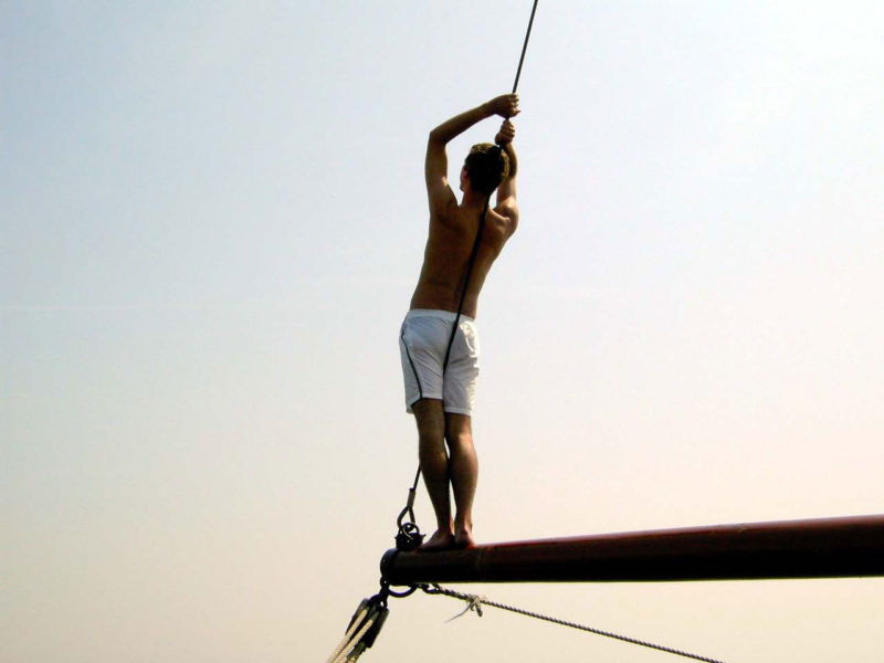 Home - Deutsch - Nil Desperandum