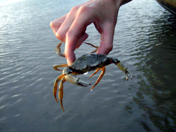 Home - Deutsch - Nil Desperandum