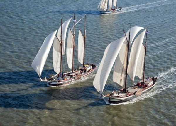 Home - English - Nil Desperandum